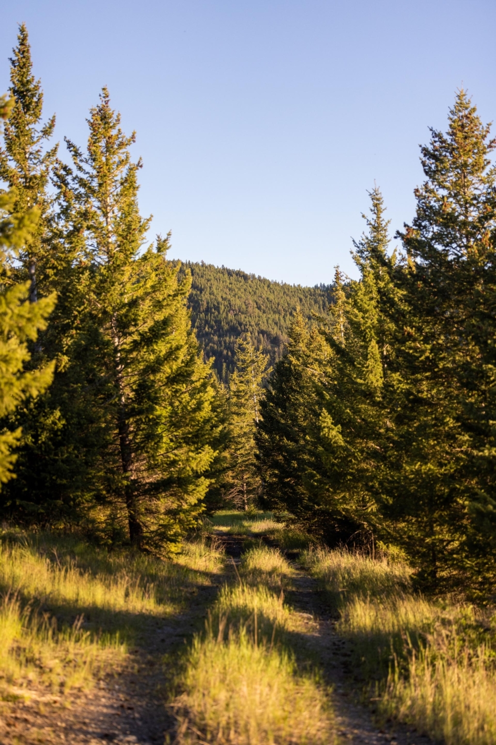 Coon Hollow Retreat | Kila Montana | Fay Ranches