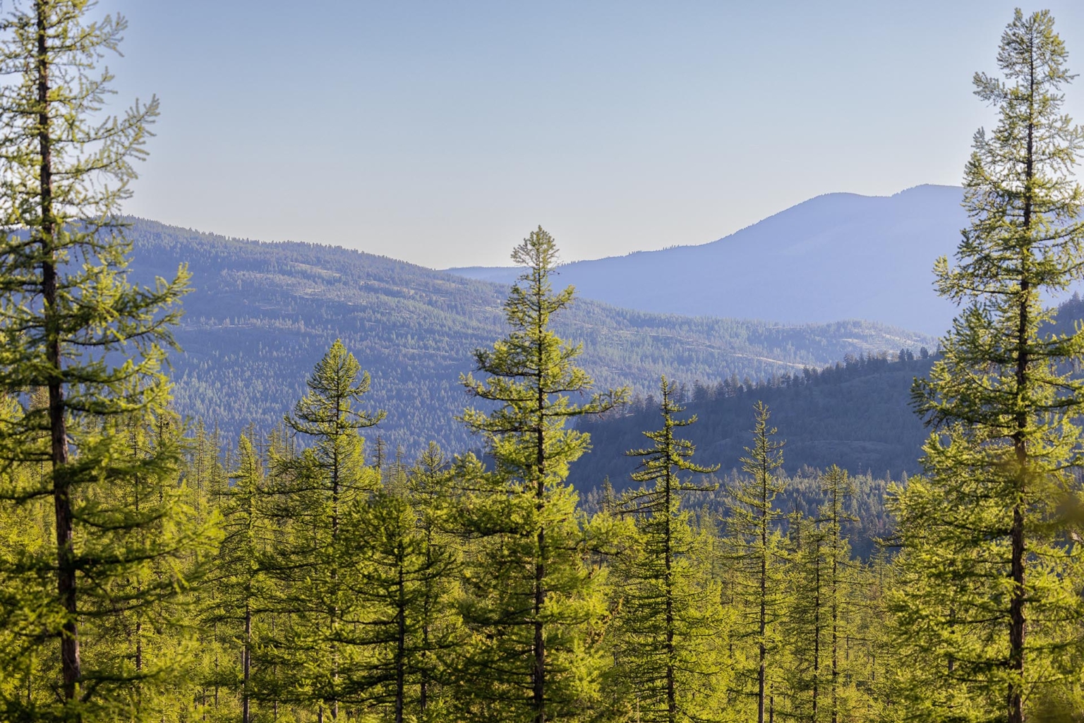 Coon Hollow Retreat | Kila Montana | Fay Ranches