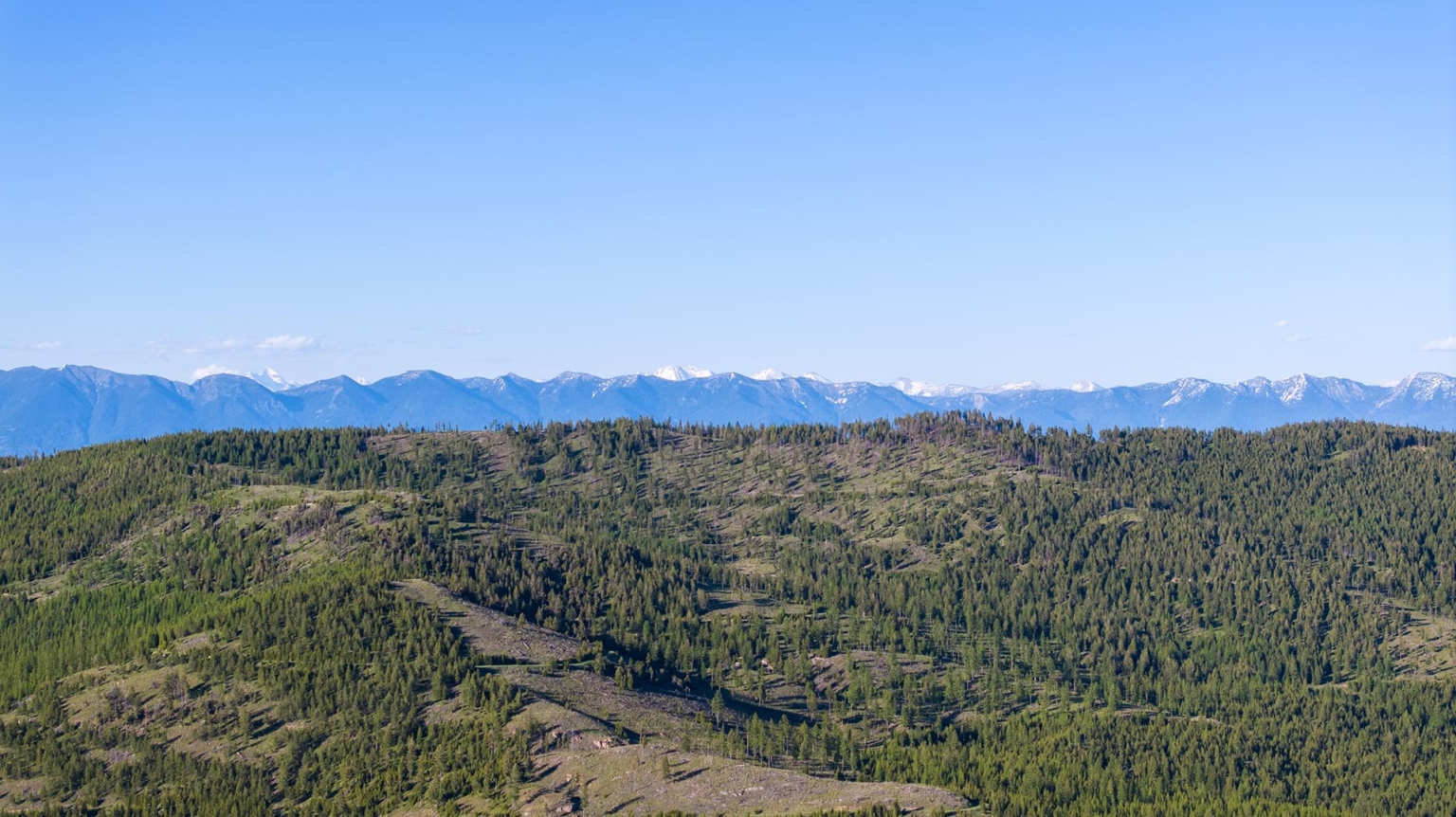 Coon Hollow Retreat | Kila Montana | Fay Ranches