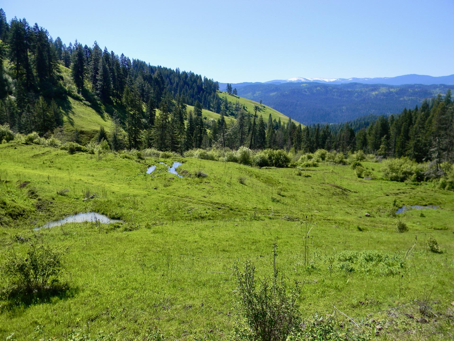 Henry Cattle Ranch | Kooskia Idaho | Fay Ranches