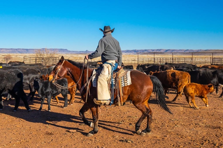 Texas Ranches For Sale Tx Properties Fay Ranches