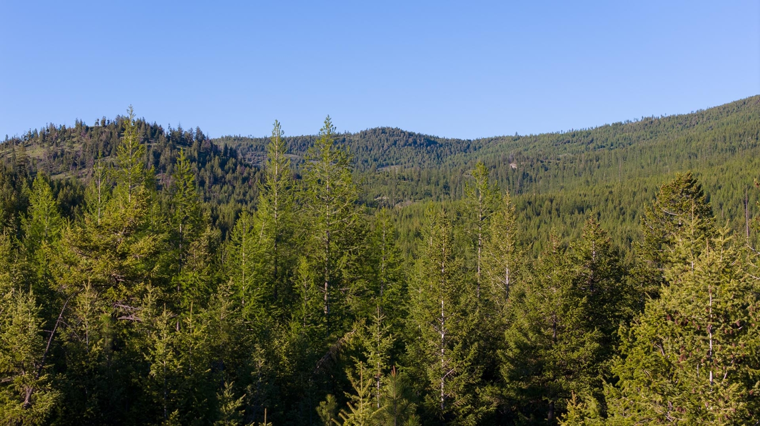 Coon Hollow Retreat | Kila Montana | Fay Ranches