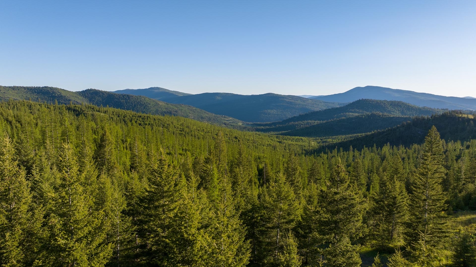 Coon Hollow Retreat | Kila Montana | Fay Ranches