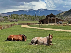 North Star Ranch Colorado | Mancos | Fay Ranches