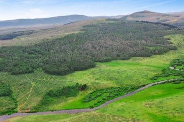 Poverty Ridge Ranch | Bone Idaho | Fay Ranches