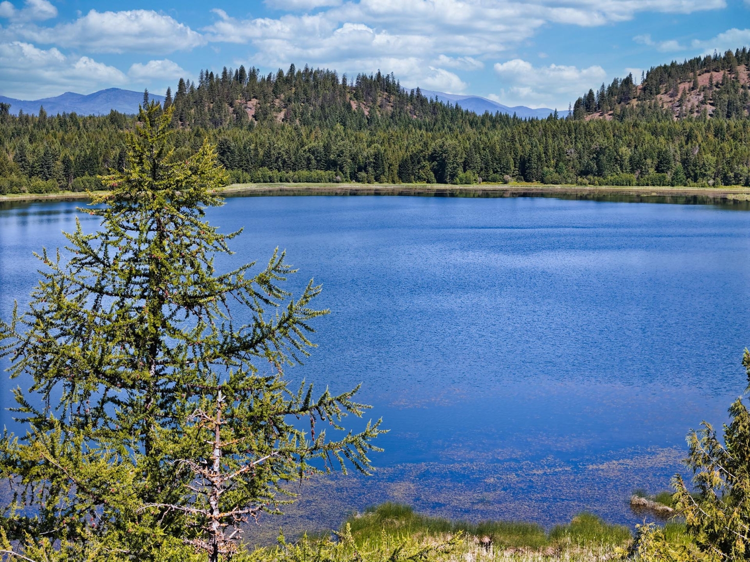 Mountain Meadows Lake | Newport Washington | Fay Ranches