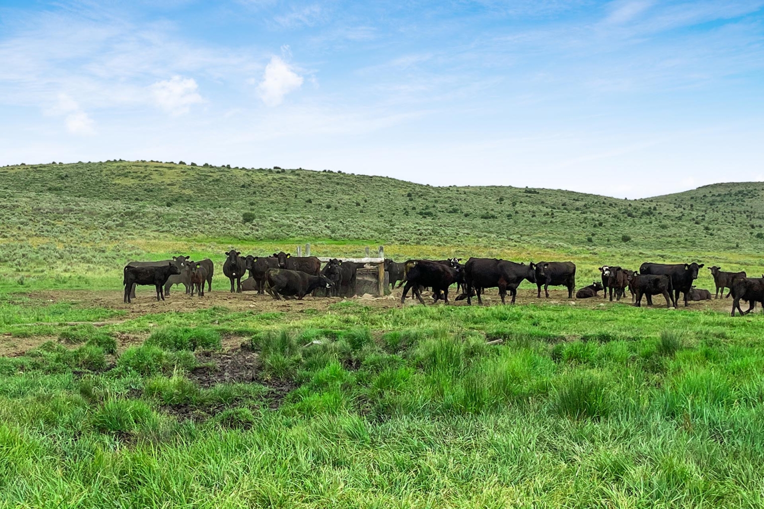 Poverty Ridge Ranch | Bone Idaho | Fay Ranches