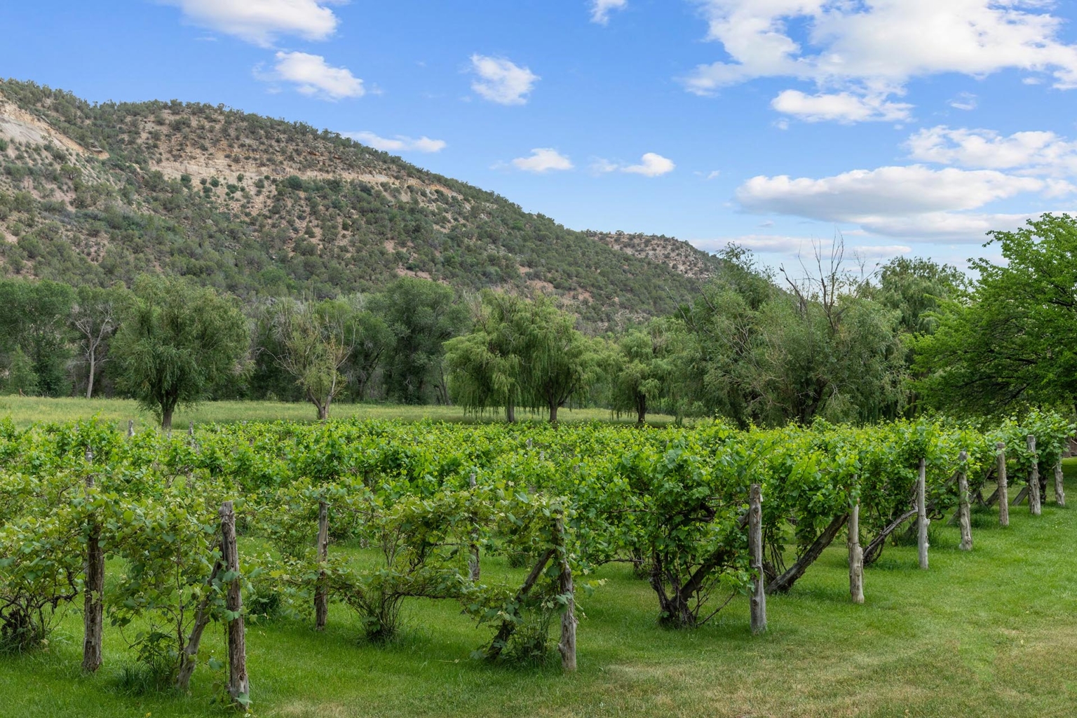 Canyon Ranch | Crawford Colorado | Fay Ranches