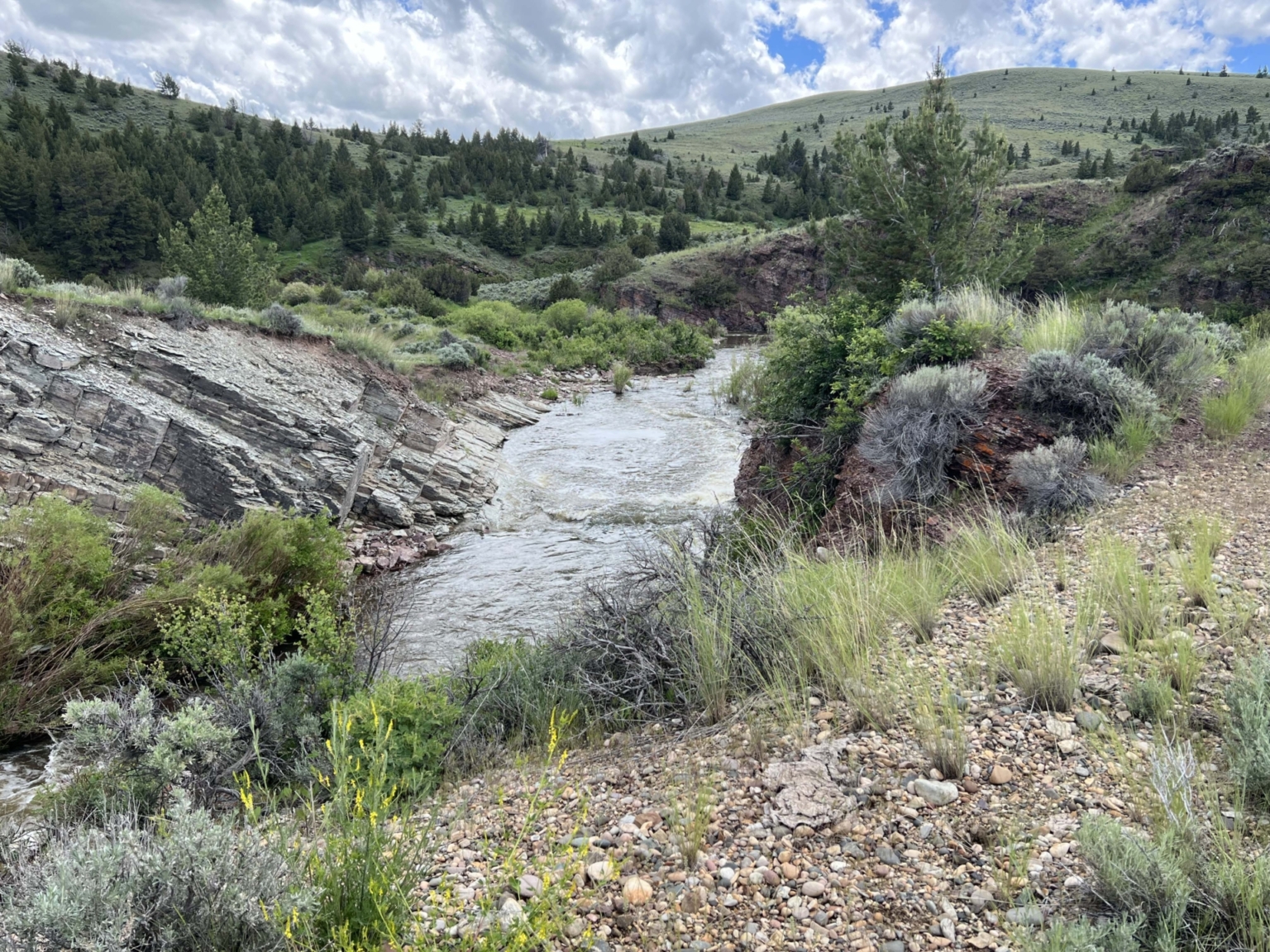 Sixteen Mile Creek Escape | Ringling Montana | Fay Ranches