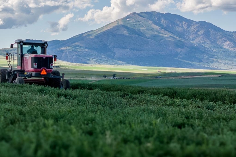 Idaho Ranch Land Properties For Sale | Fay Ranches