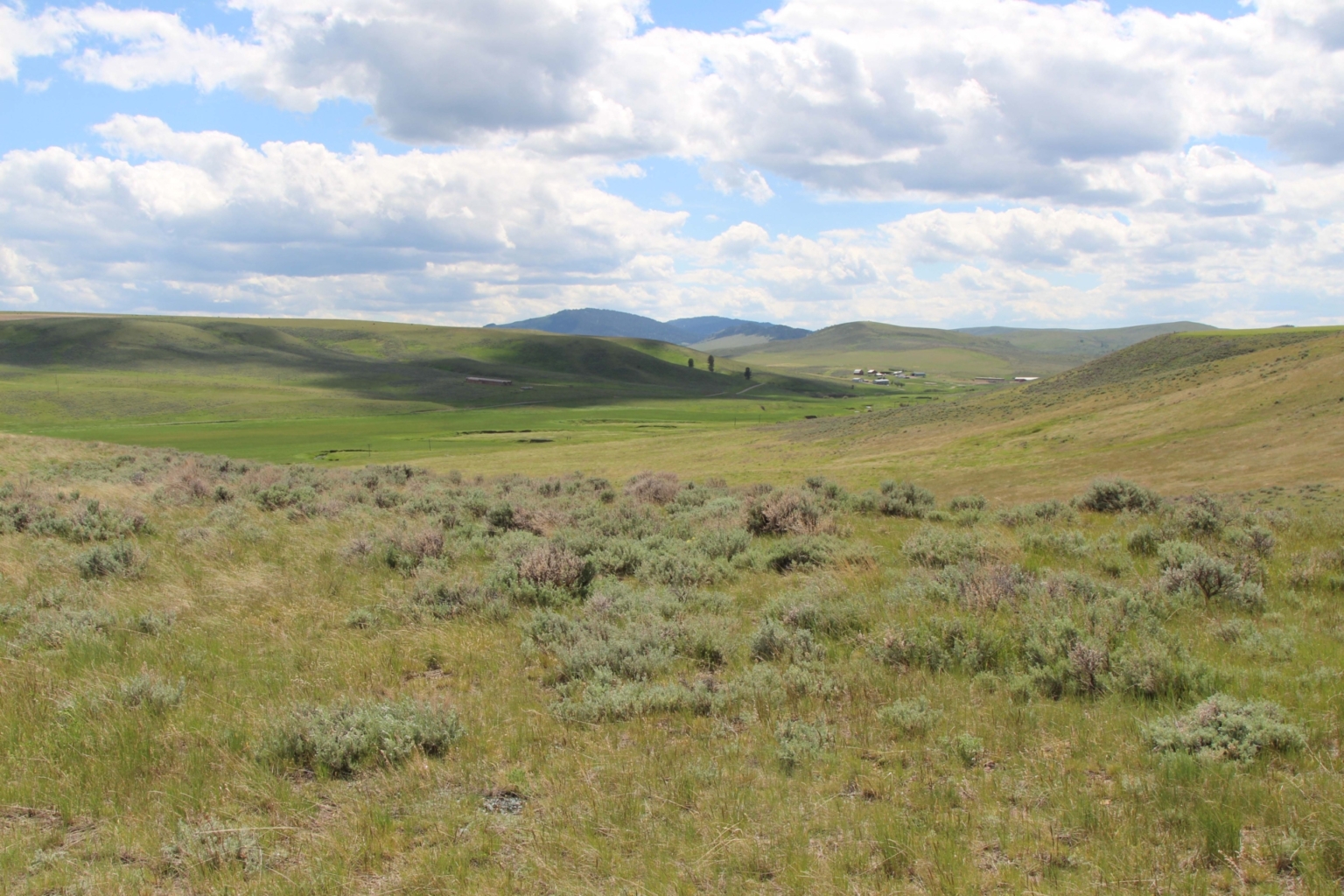 Sixteen Mile Creek Escape | Ringling Montana | Fay Ranches