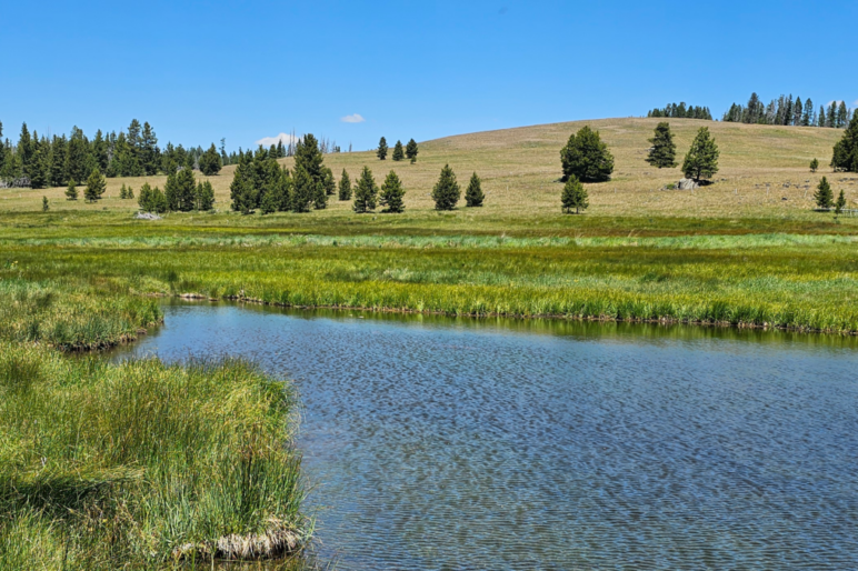 Montana Ranch Land Properties For Sale | Fay Ranches