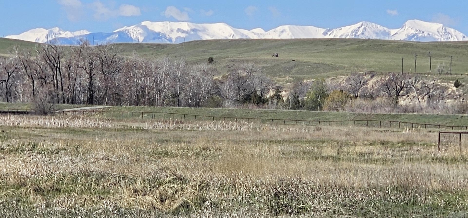 26 Acres on the Lower Madison | Three Forks Montana | Fay Ranches