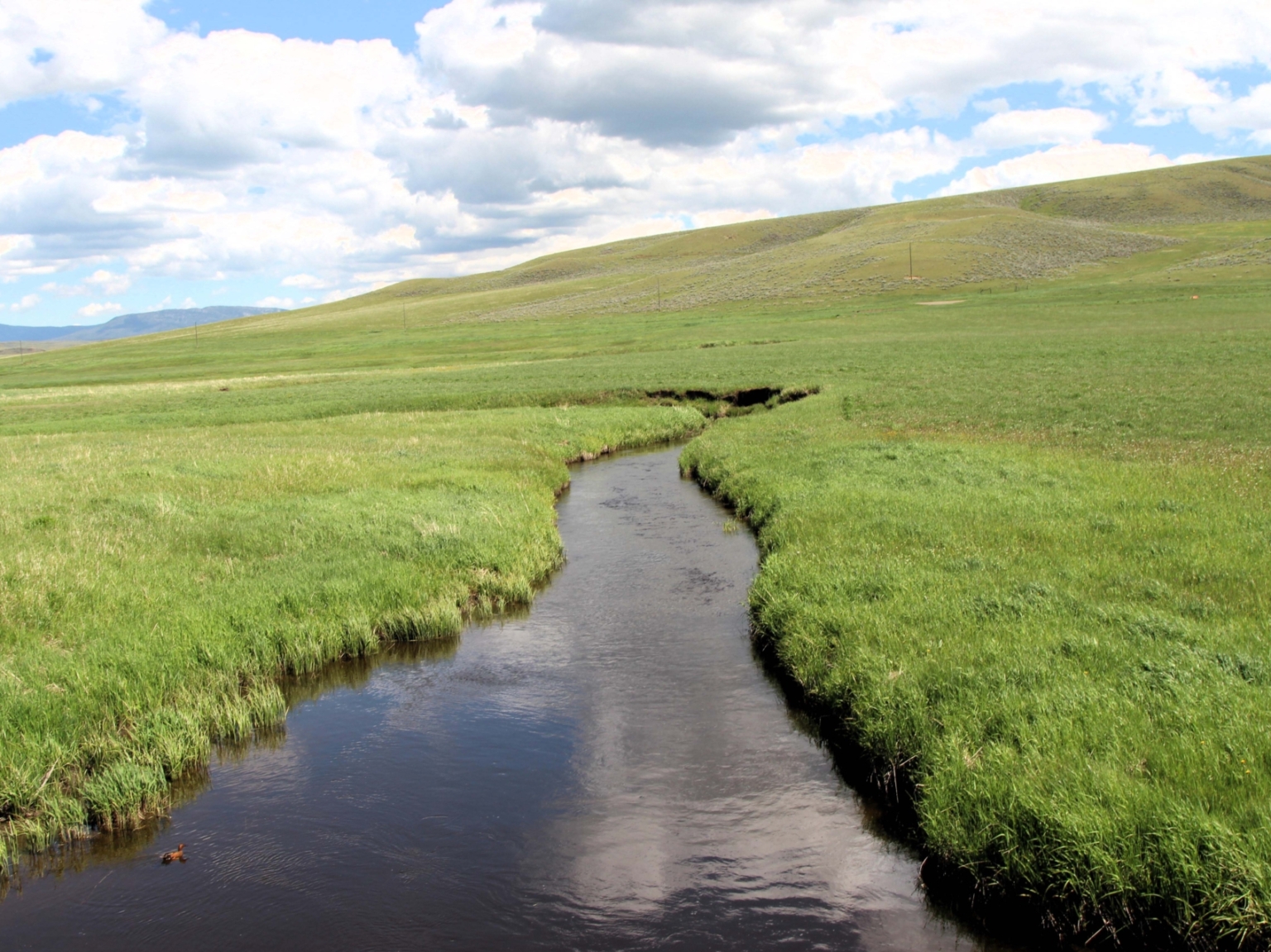Sixteen Mile Creek Escape | Ringling Montana | Fay Ranches