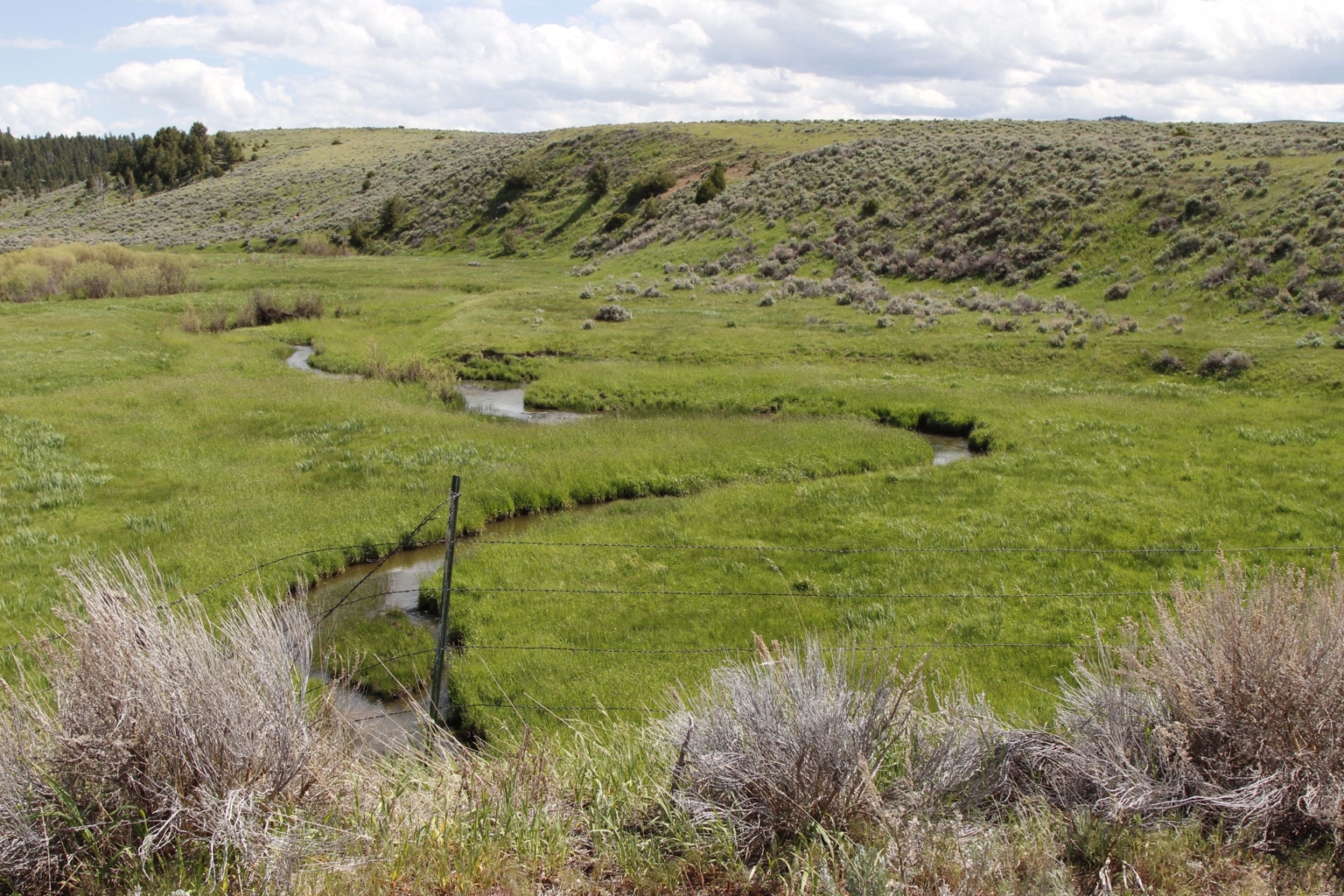 Sixteen Mile Creek Escape | Ringling Montana | Fay Ranches