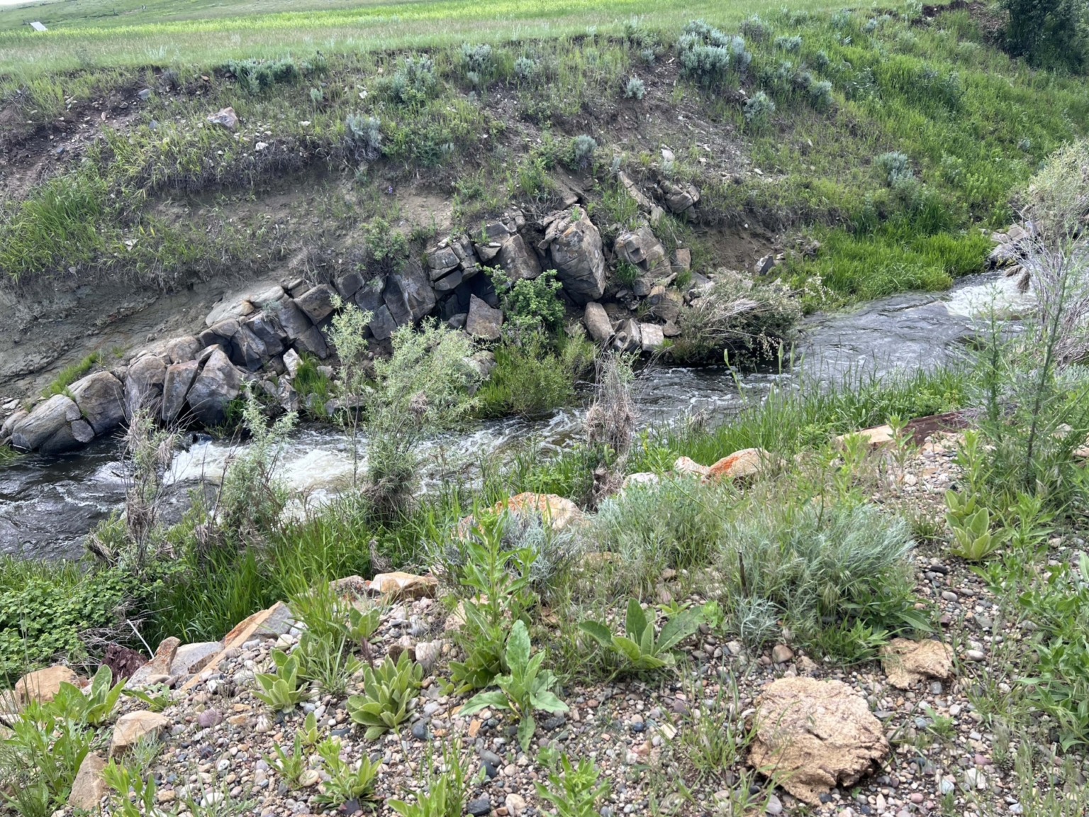 Sixteen Mile Creek Escape | Ringling Montana | Fay Ranches