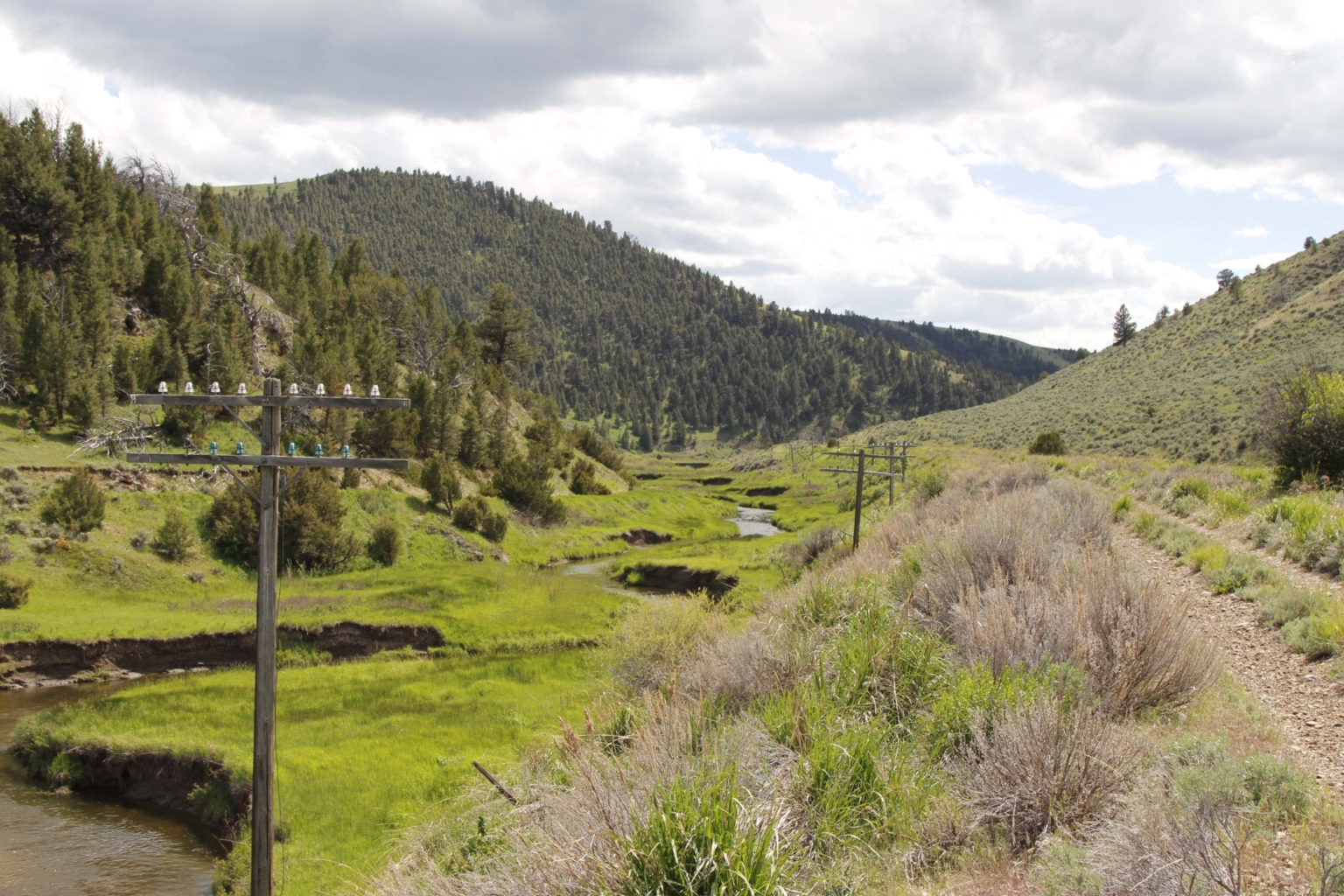 Sixteen Mile Creek Escape | Ringling Montana | Fay Ranches