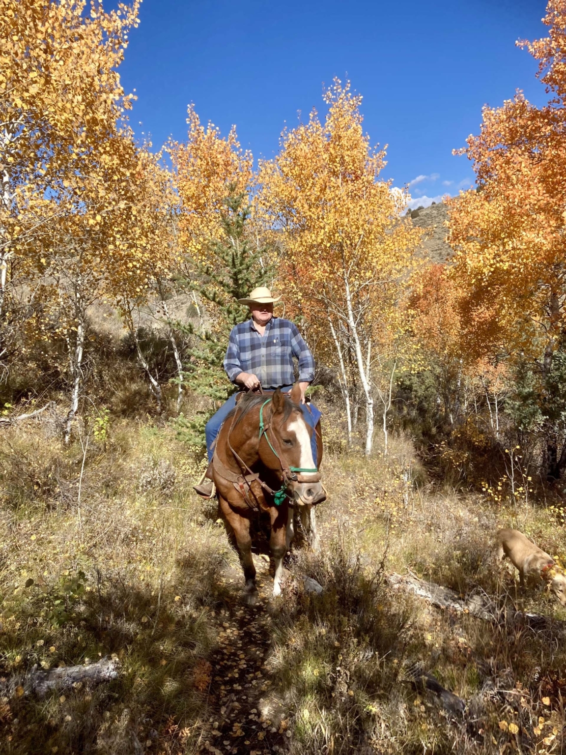 Rimrock Canyon Ranch | Parshall Colorado | Fay Ranches