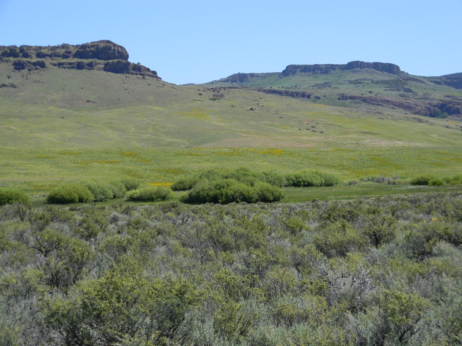 Cow Creek Ranch | Marsing Idaho | Fay Ranches