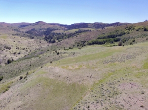 Cow Creek Ranch | Marsing Idaho | Fay Ranches