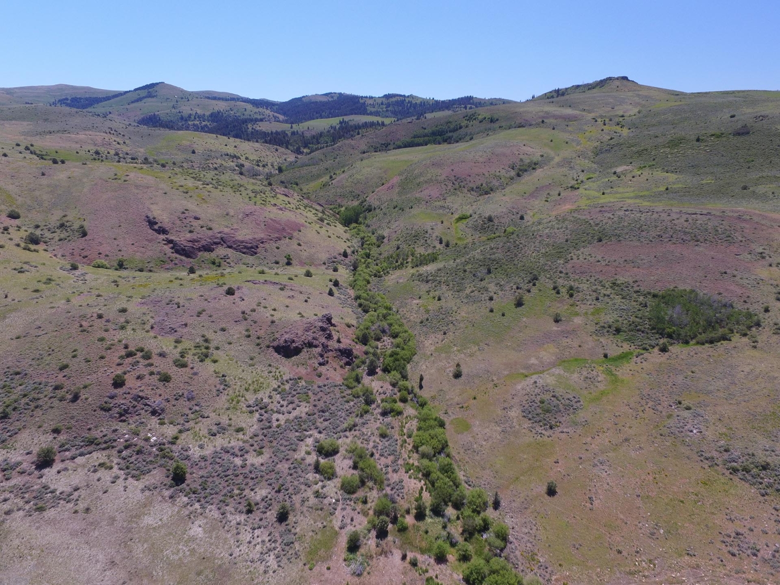 Cow Creek Ranch | Marsing Idaho | Fay Ranches