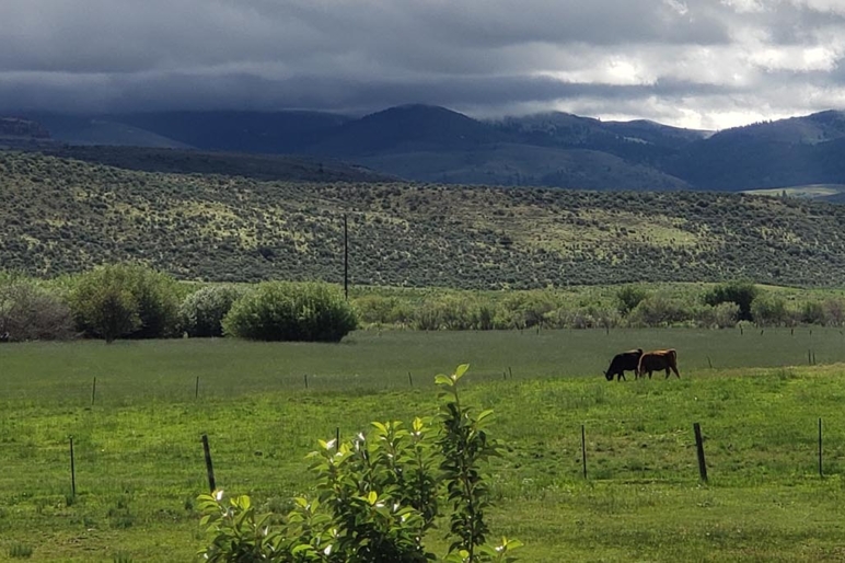 Fay Ranches | Brokering the Finest Ranches For Sale Coast to Coast