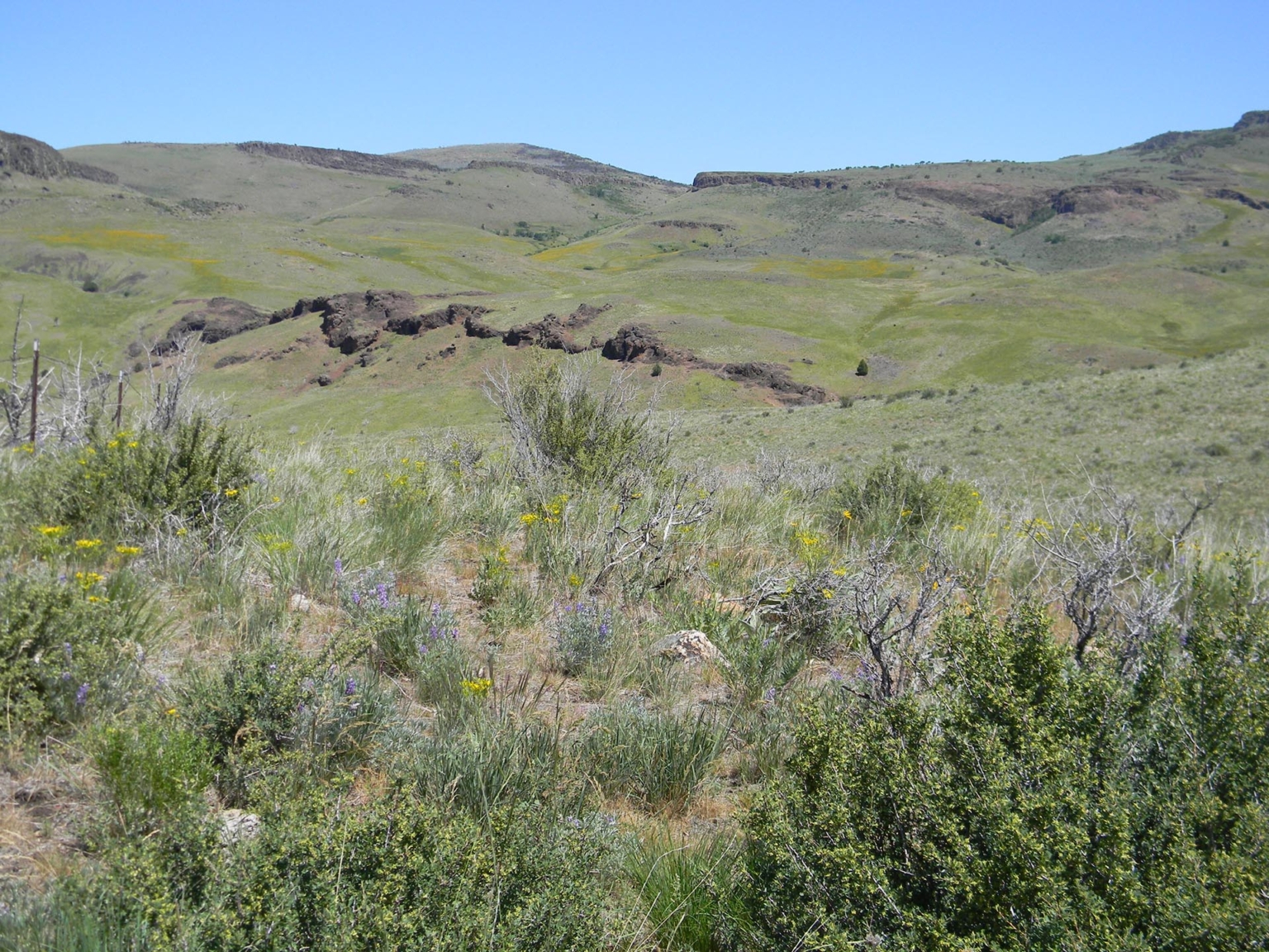 Cow Creek Ranch | Marsing Idaho | Fay Ranches