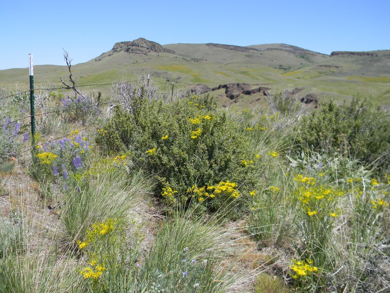 Cow Creek Ranch | Marsing Idaho | Fay Ranches