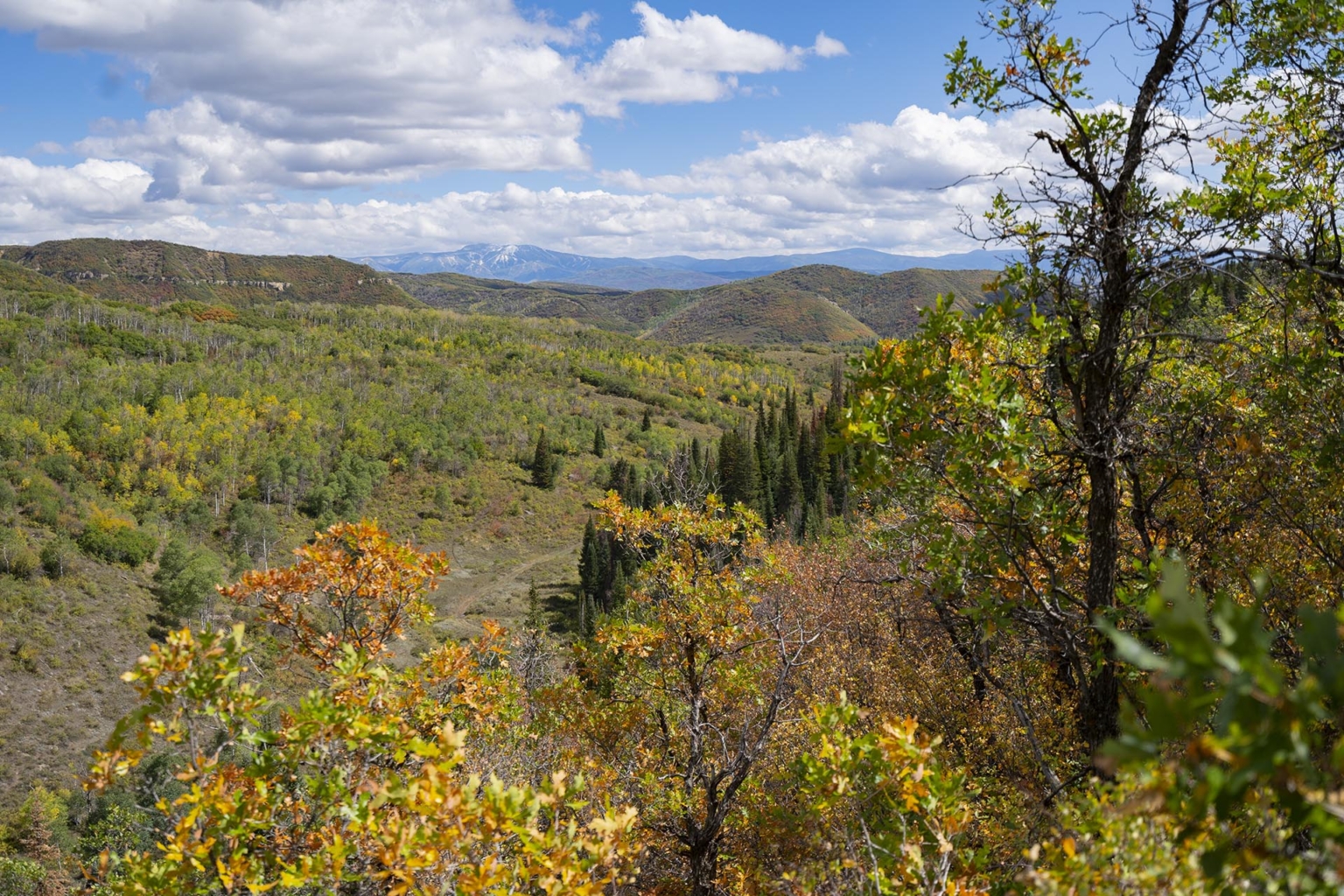 Doc Utterback Ranch | Steamboat Springs Colorado | Fay Ranches