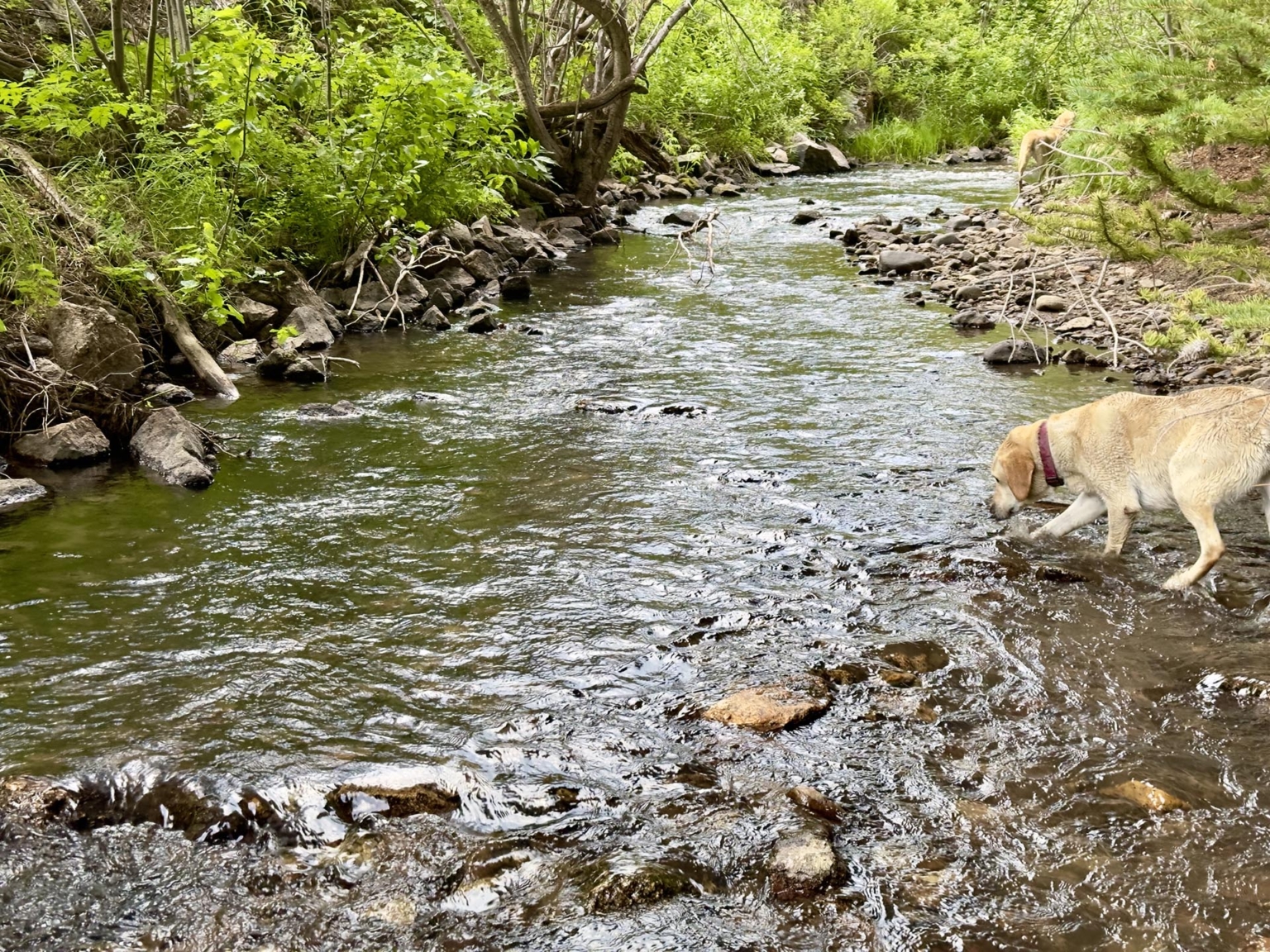 Rimrock Canyon Ranch | Parshall Colorado | Fay Ranches