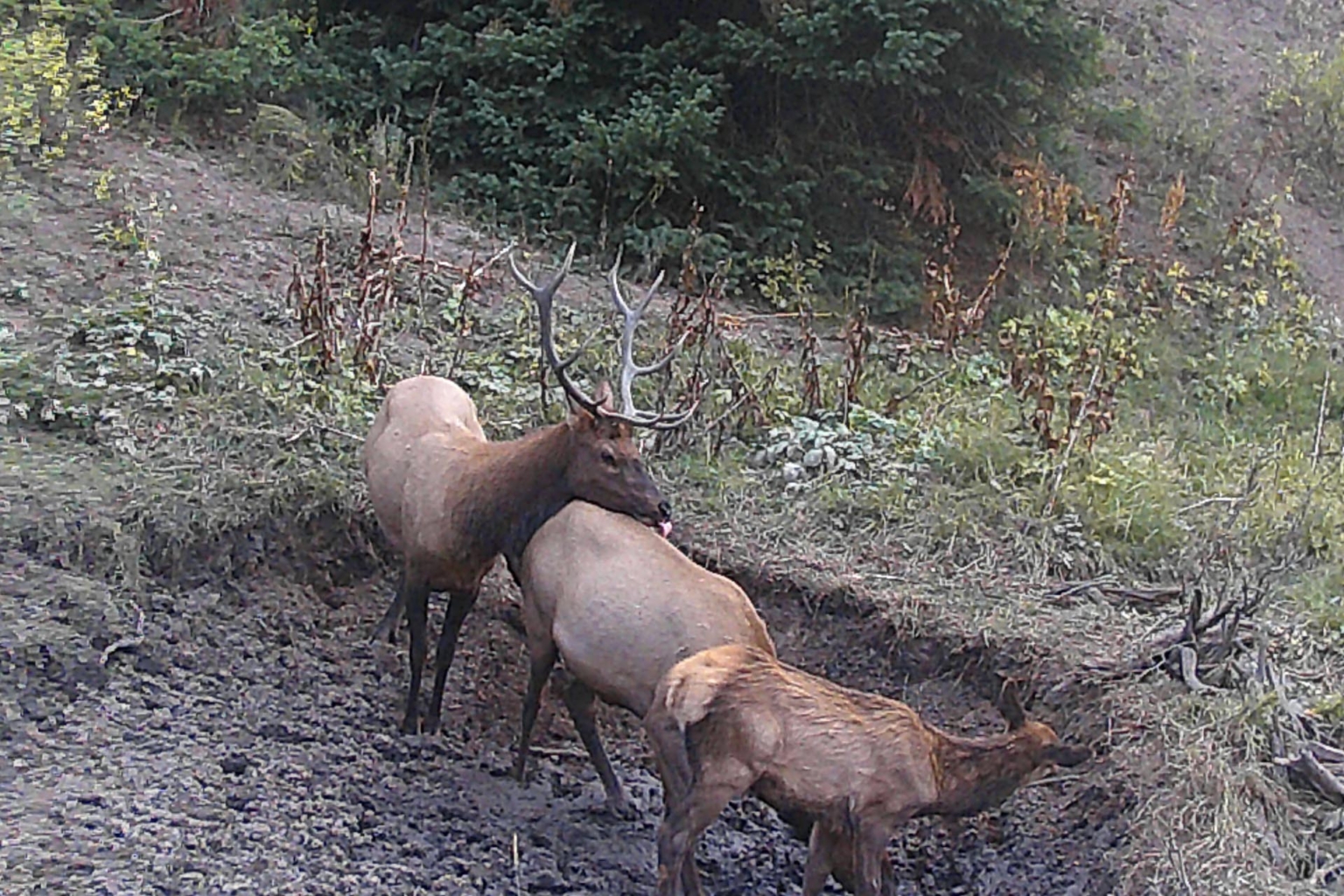 Doc Utterback Ranch | Steamboat Springs Colorado | Fay Ranches