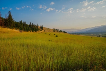 Maclay Ranch | Lolo Montana | Fay Ranches