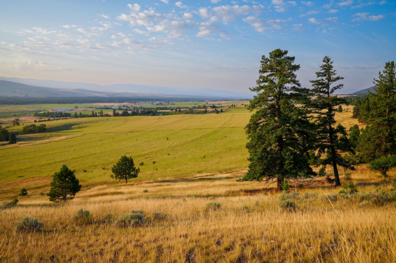Maclay Ranch | Lolo Montana | Fay Ranches