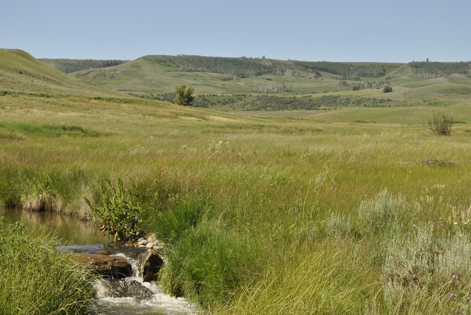 Yampa Headwaters Ranch | Yampa Colorado | Fay Ranches