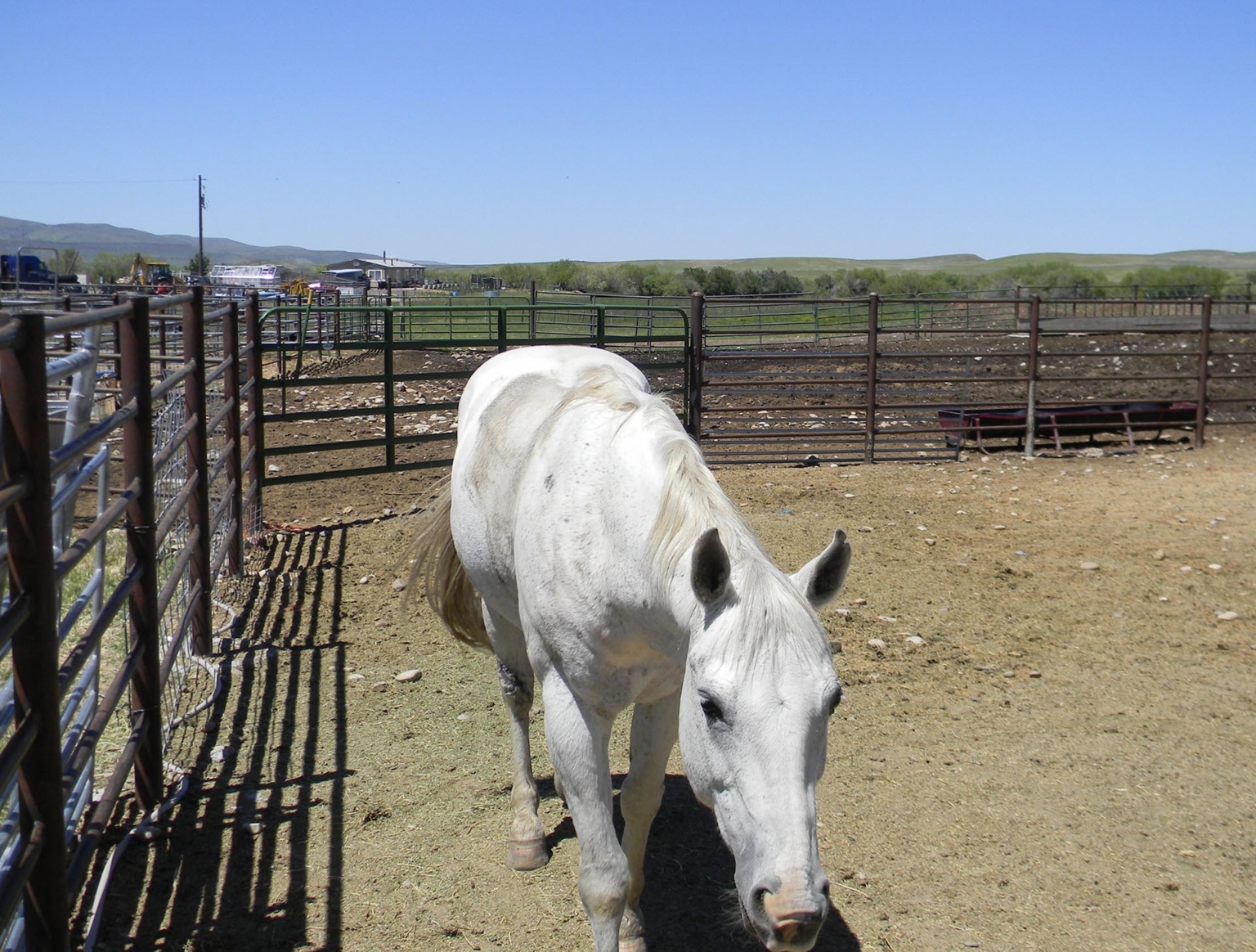 Cow Creek Ranch | Marsing Idaho | Fay Ranches