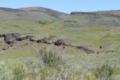 Idaho Ranch Land Properties For Sale | Fay Ranches