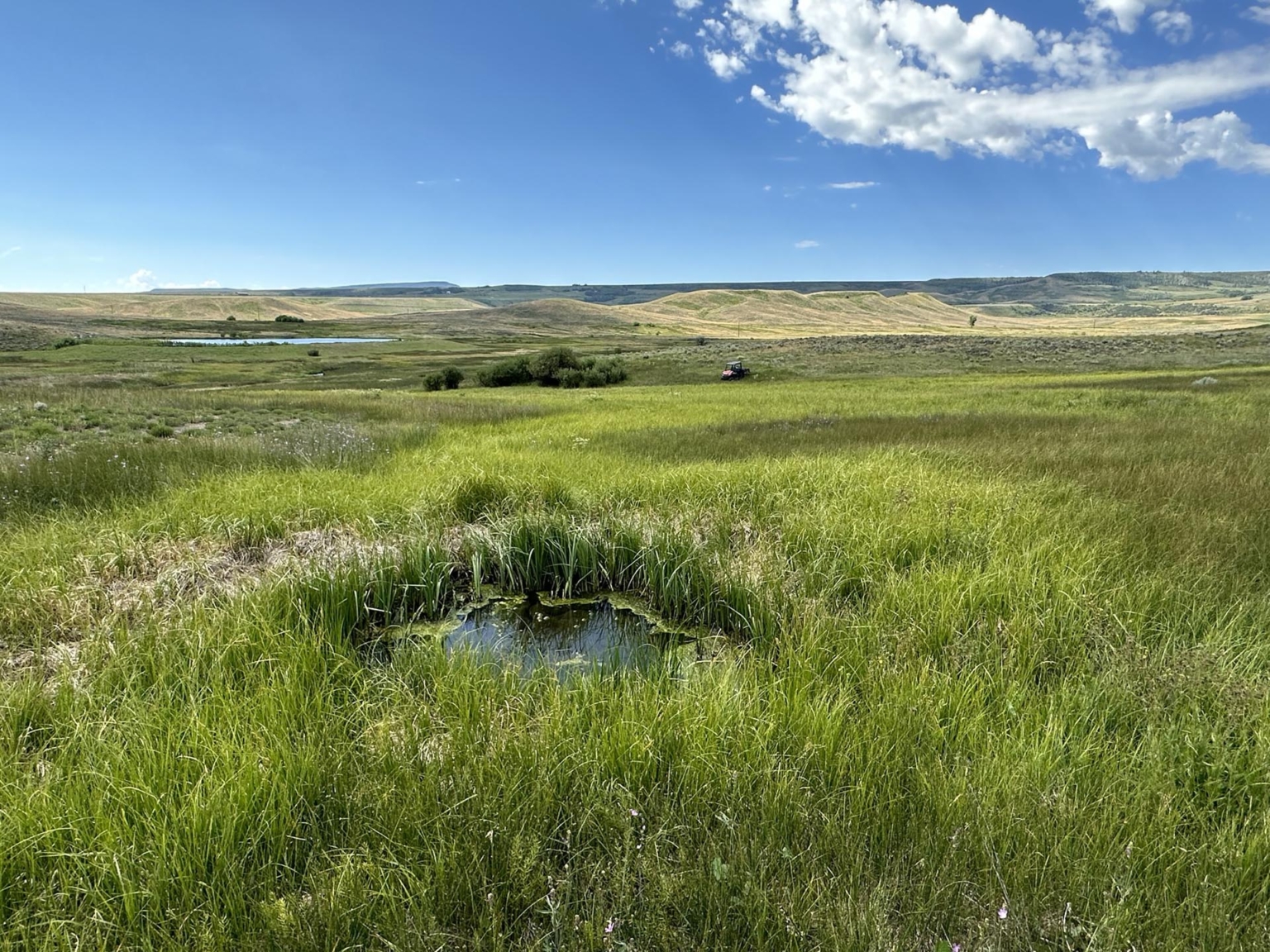 Yampa Headwaters Ranch | Yampa Colorado | Fay Ranches