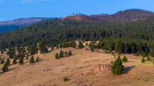 Maclay Ranch | Lolo Montana | Fay Ranches