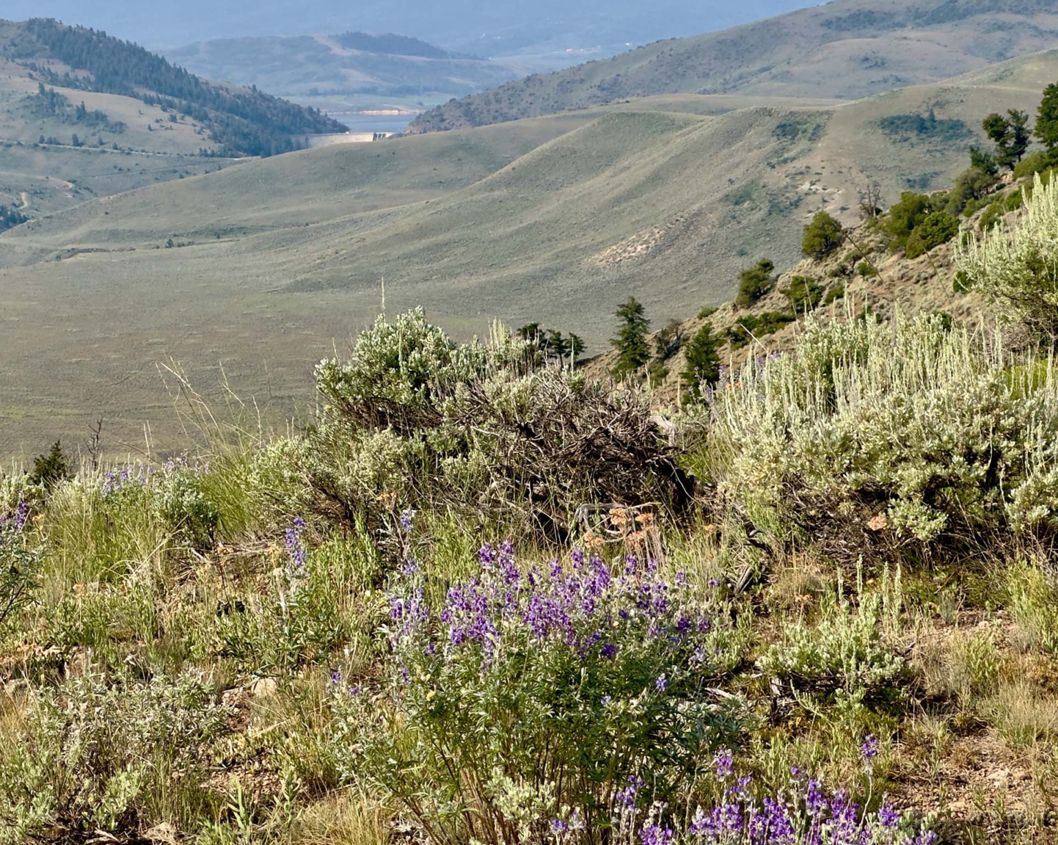 Rimrock Canyon Ranch | Parshall Colorado | Fay Ranches