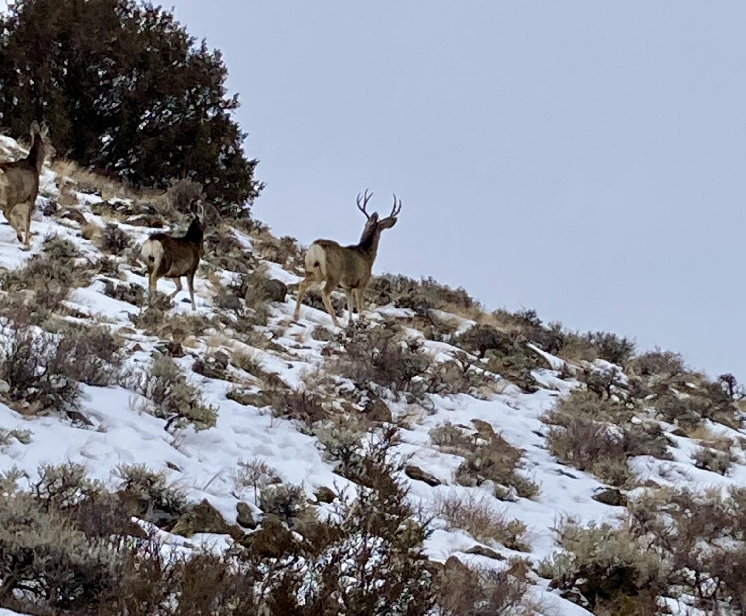 Rimrock Canyon Ranch | Parshall Colorado | Fay Ranches