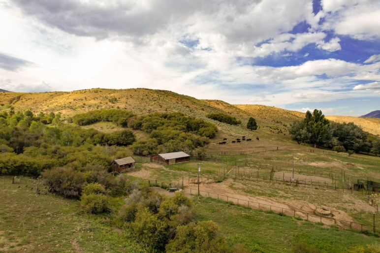 Birch Creek Ranch | McCammon Idaho | Fay Ranches