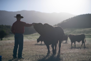 Birch Creek Ranch | McCammon Idaho | Fay Ranches
