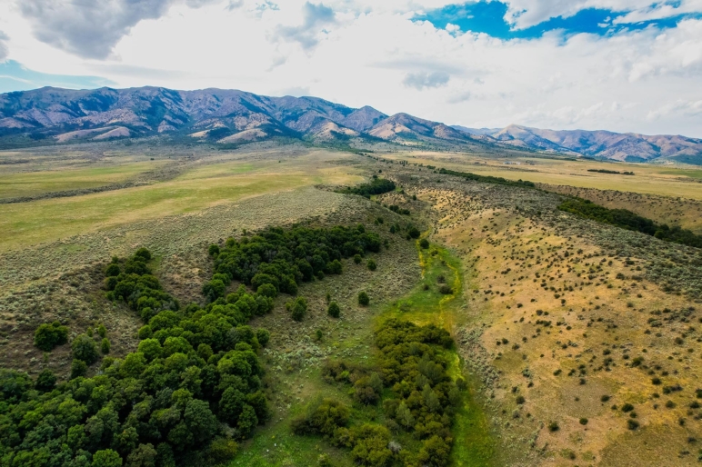 Birch Creek Ranch | McCammon Idaho | Fay Ranches