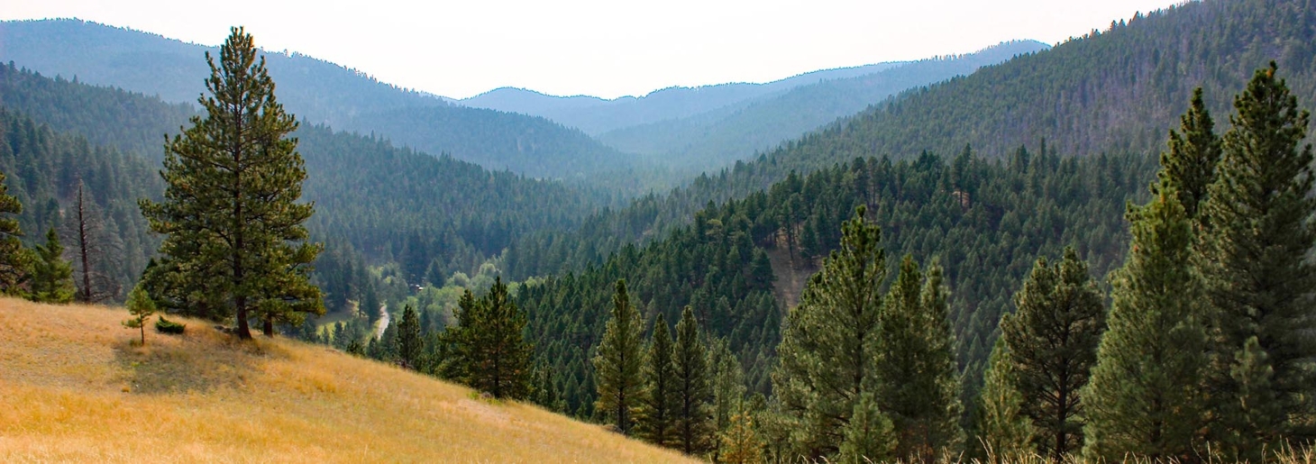 Two Creeks Montana Mountain Ranch | Helena | Fay Ranches