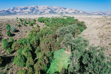 Birch Creek Ranch | McCammon Idaho | Fay Ranches