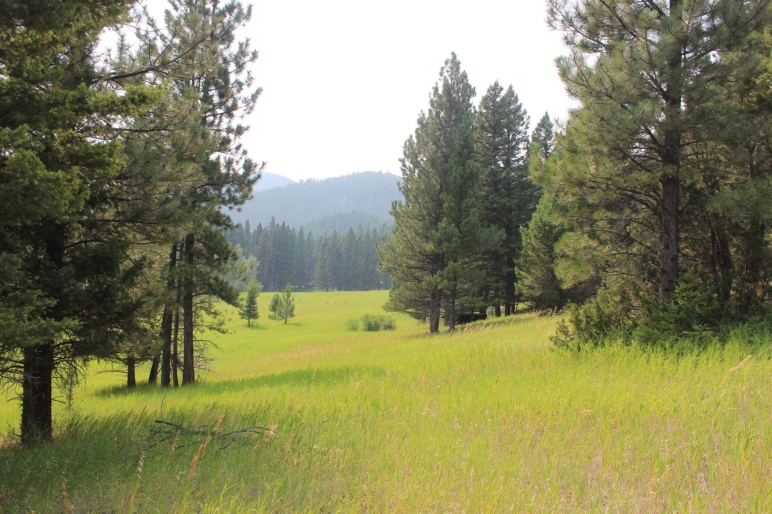 Two Creeks Montana Mountain Ranch | Helena | Fay Ranches