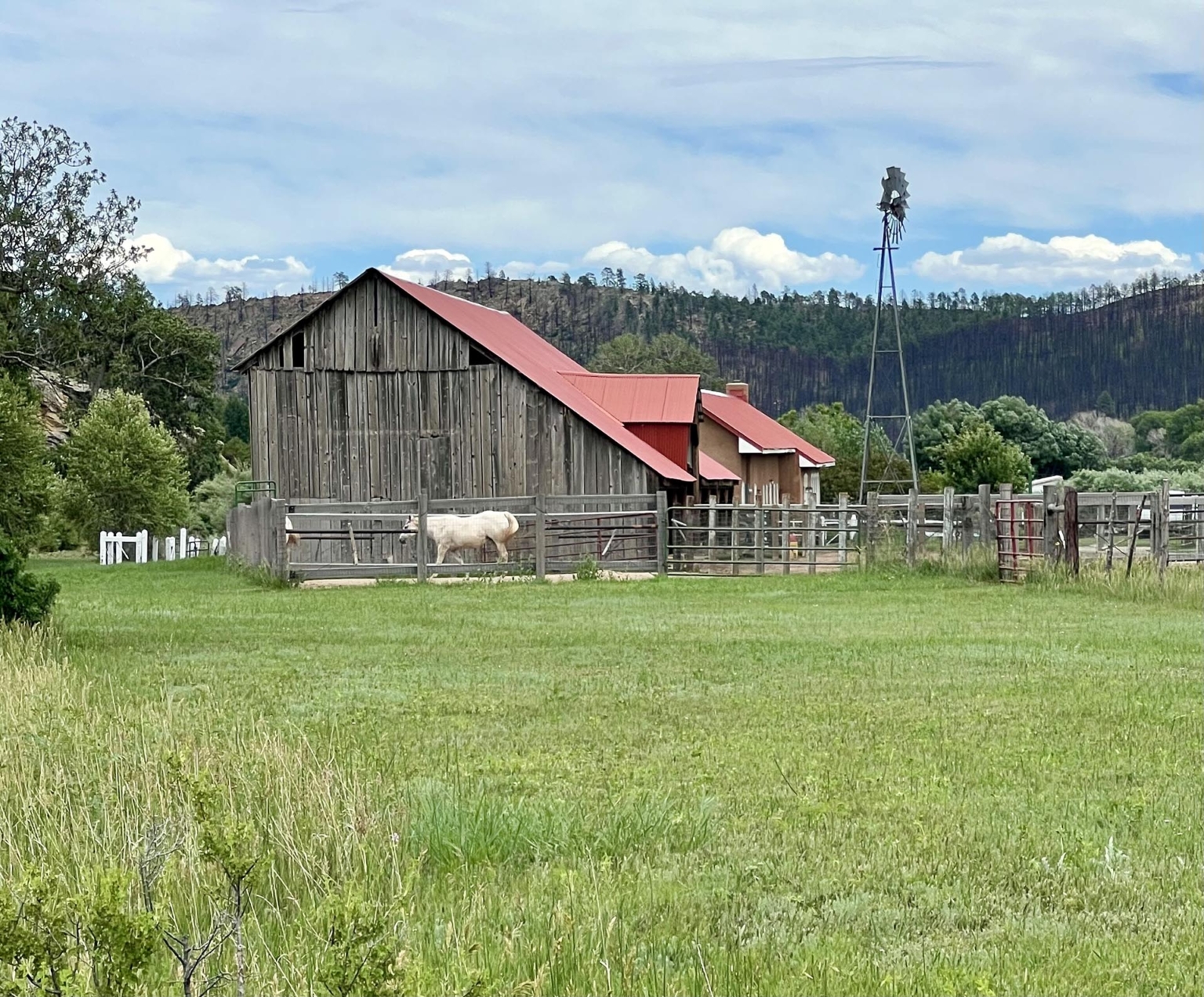 Sapello River Retreat | Sapello New Mexico | Fay Ranches