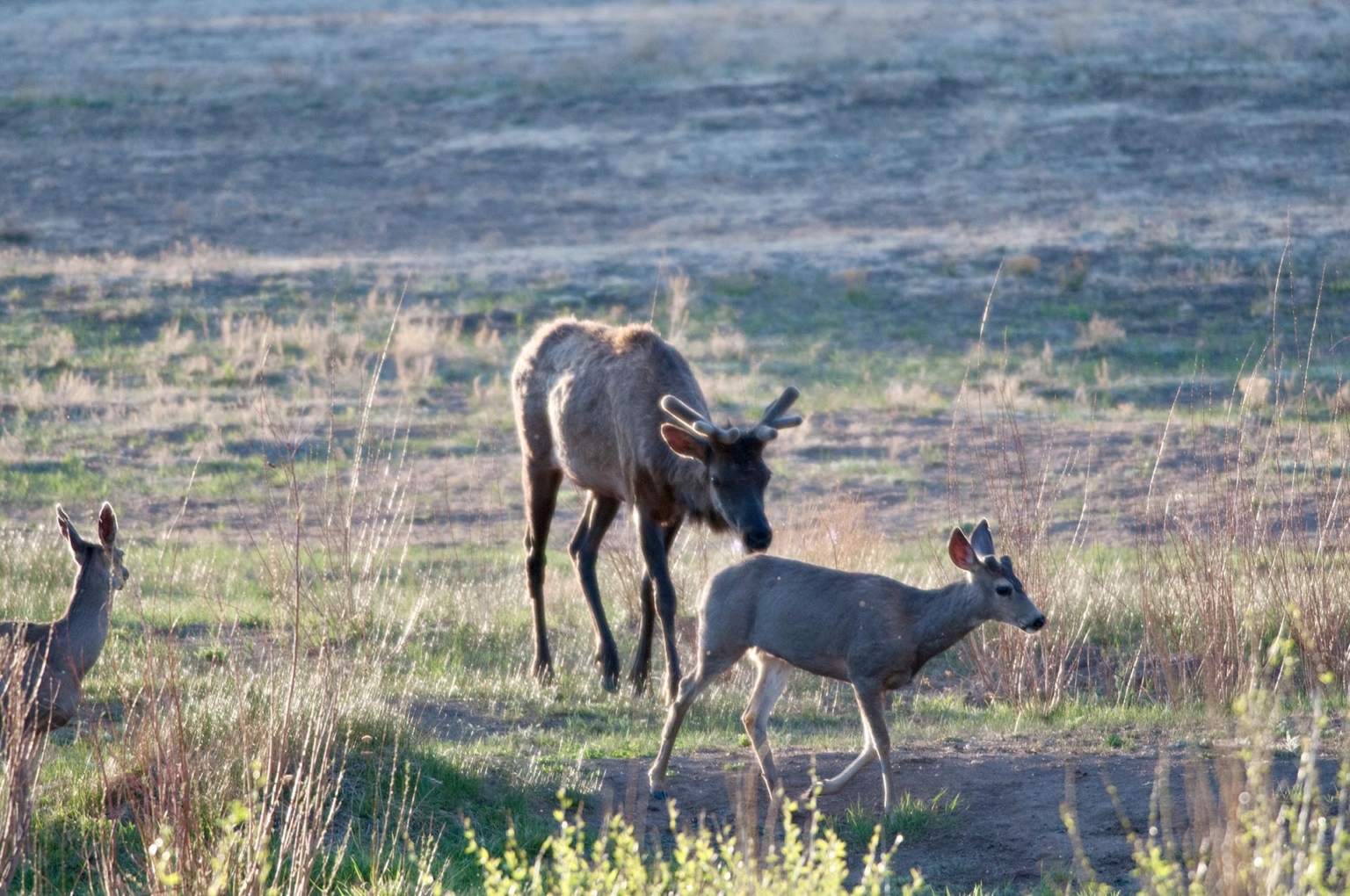 Sapello River Retreat | Sapello New Mexico | Fay Ranches