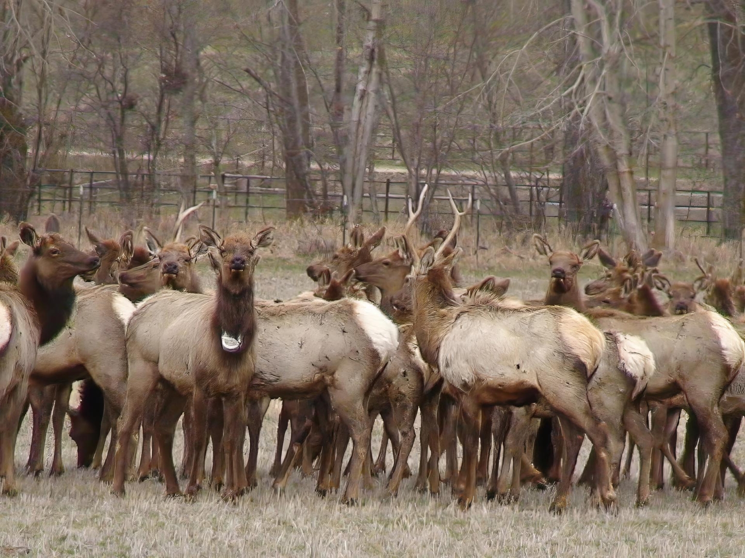 Sky Range Ranch | Missoula Montana | Fay Ranches