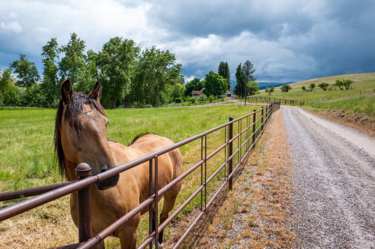 Sky Range Ranch | Missoula Montana | Fay Ranches